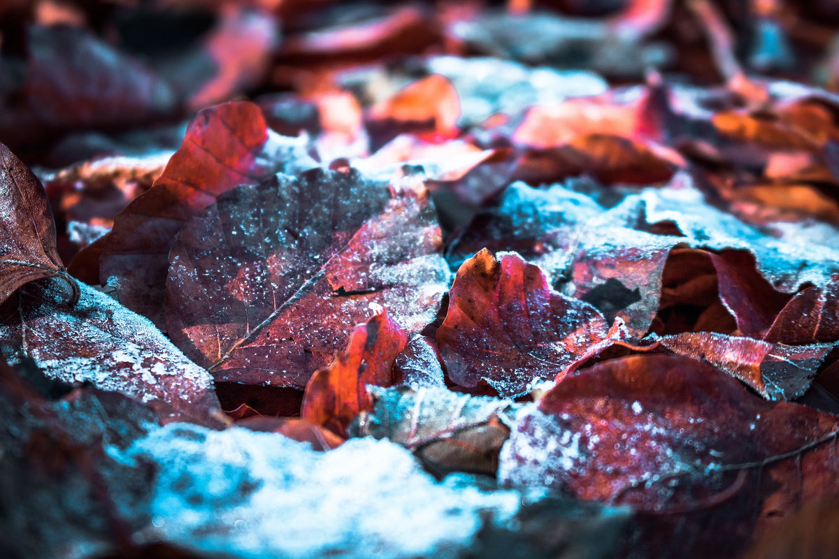 Tips for Transitioning Your Skincare Routine This Fall/Winter | auraiha ...